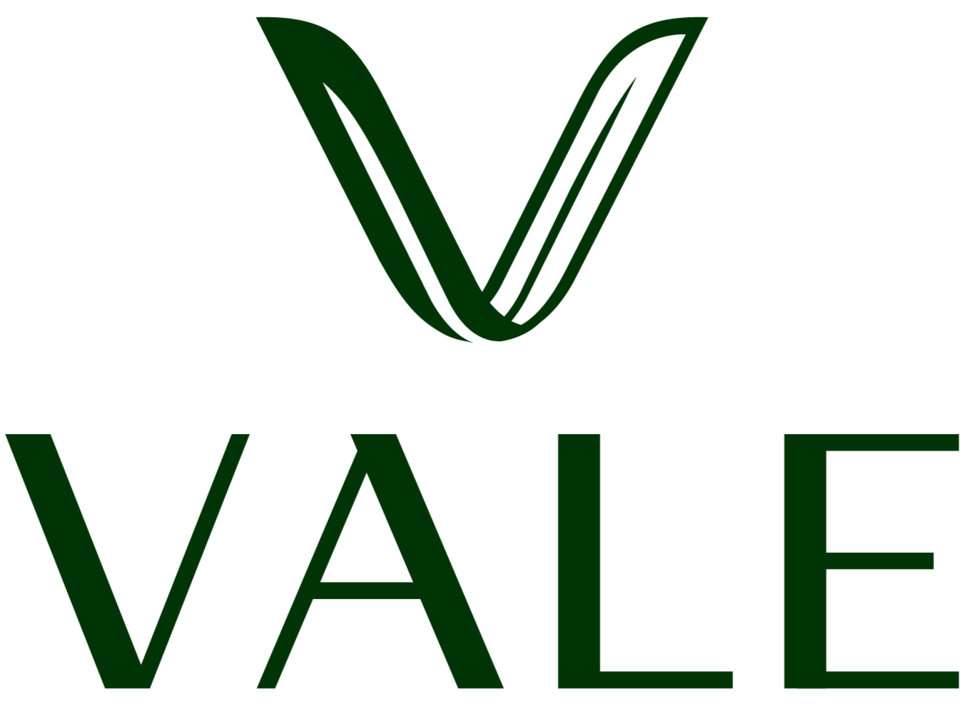 VALE | Healthy Kitchen